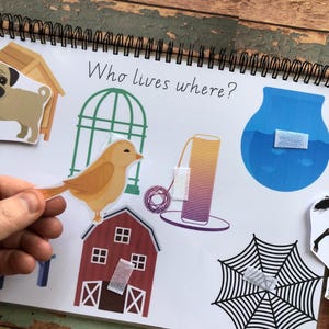 Printable Animal Busy Book, Activity Folder, Activity Book, Educational ...