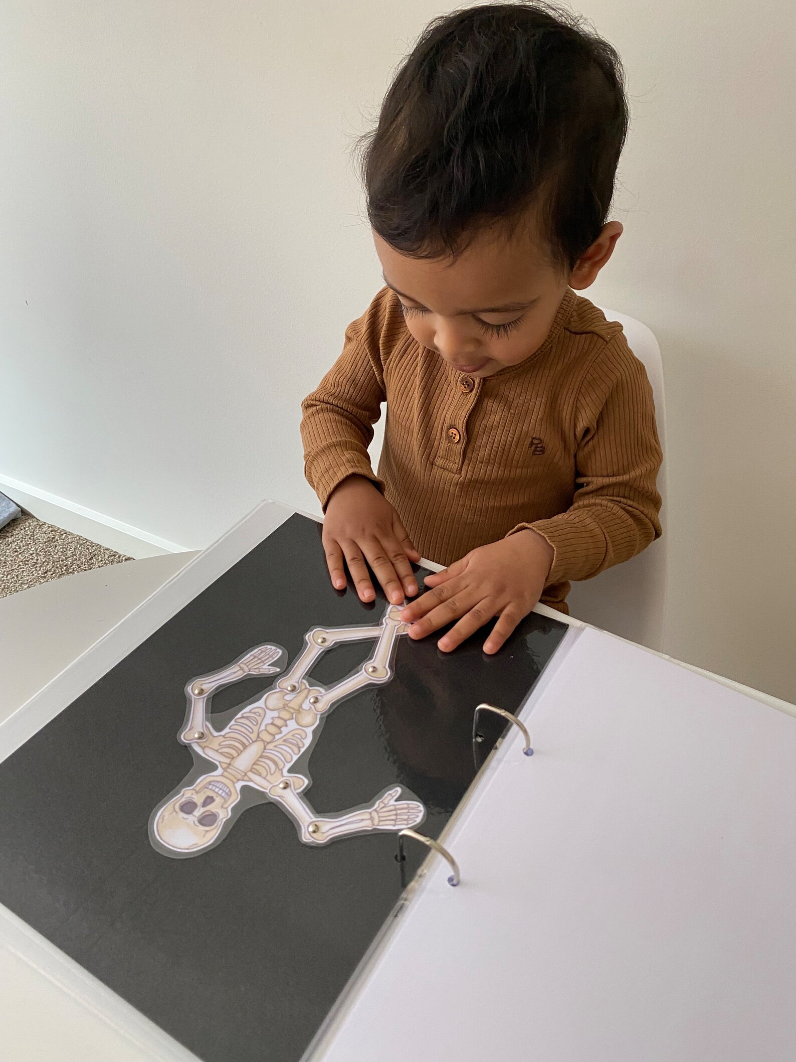 My Body Busy Book Preschool Busy Book Homeschool Resources - Etsy