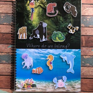 Printable Animal Busy Book, Activity Folder, Activity Book, Educational ...