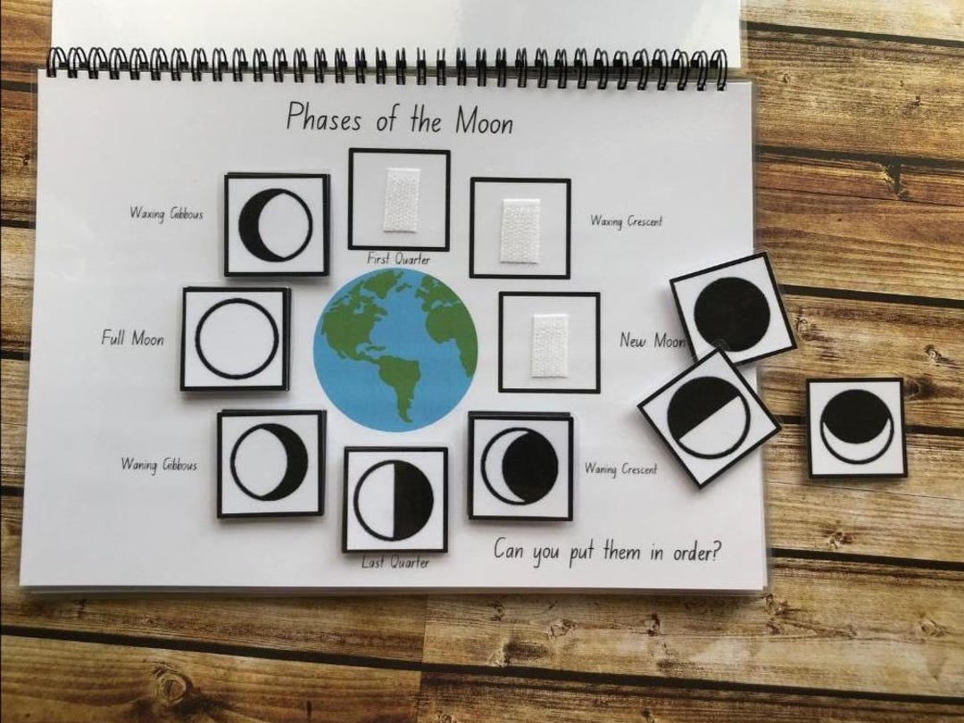 Moon Phases Activity Book: Printable Homeschool Learning (digital ...