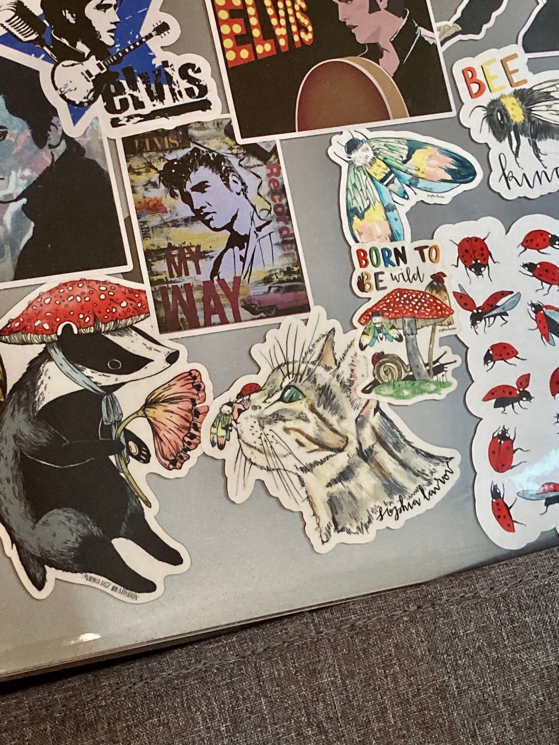 Die Cut Bugs and Cat Matte Vinyl Sticker Sophia Lavrov | Etsy