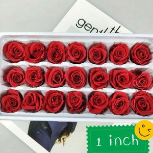 Preserved Red Roses Box, Handmade Natural Roses, Forever Roses - Etsy