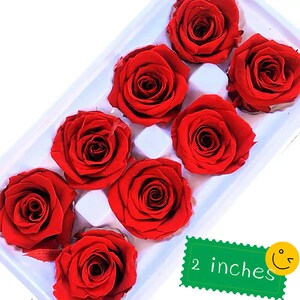 Preserved Red Roses Box, Handmade Natural Roses, Forever Roses - Etsy