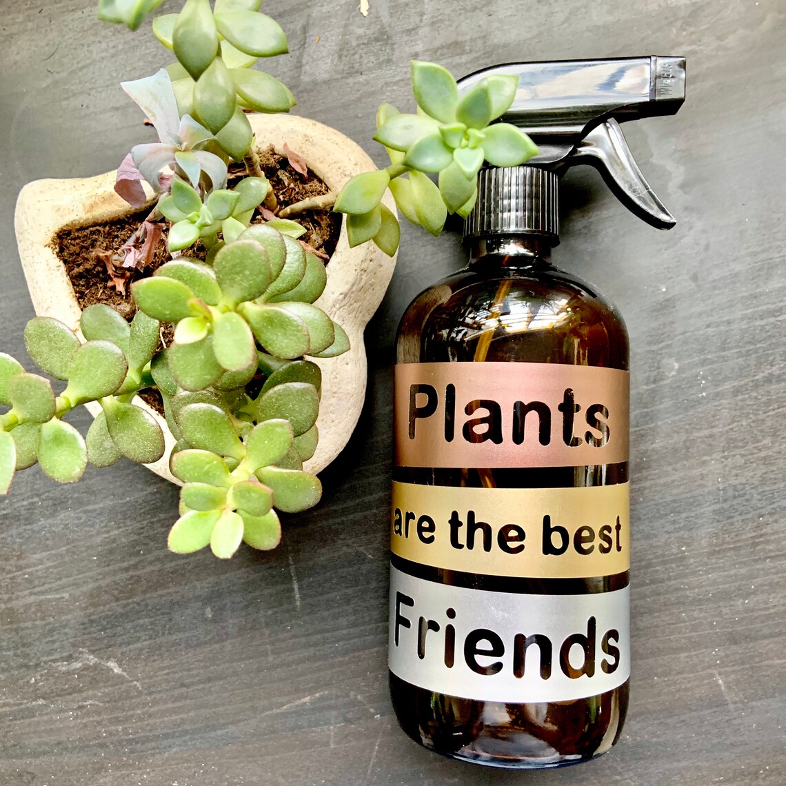 Plant Spray Bottle, Houseplant Spray Water Bottle, Amber Glass Plant ...