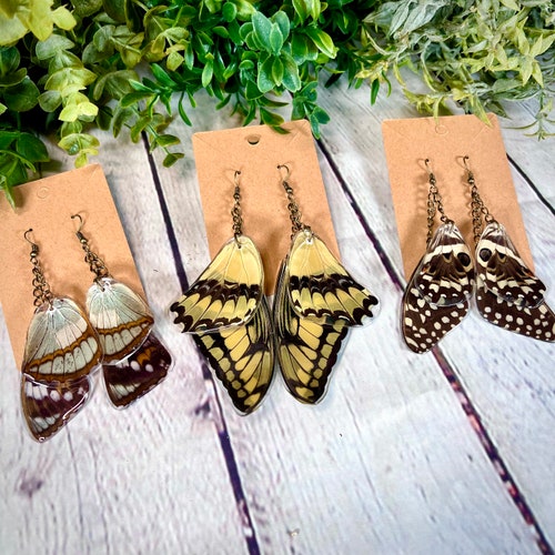 Real Butterfly Wing Earrings// Sunset Moth Jewelry// - Etsy