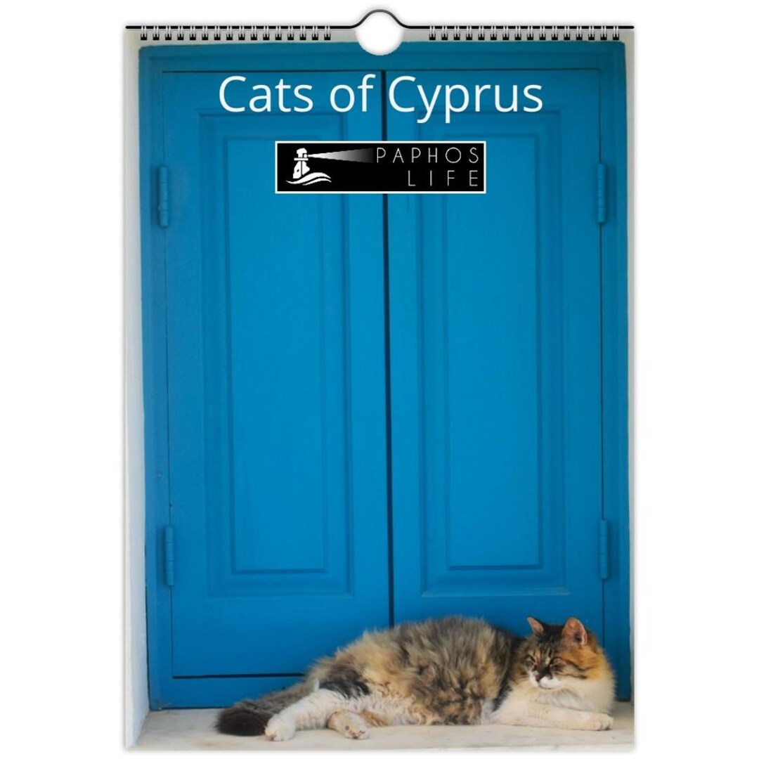 Paphos Life Wall Calendars Cats of Cyprus - Etsy