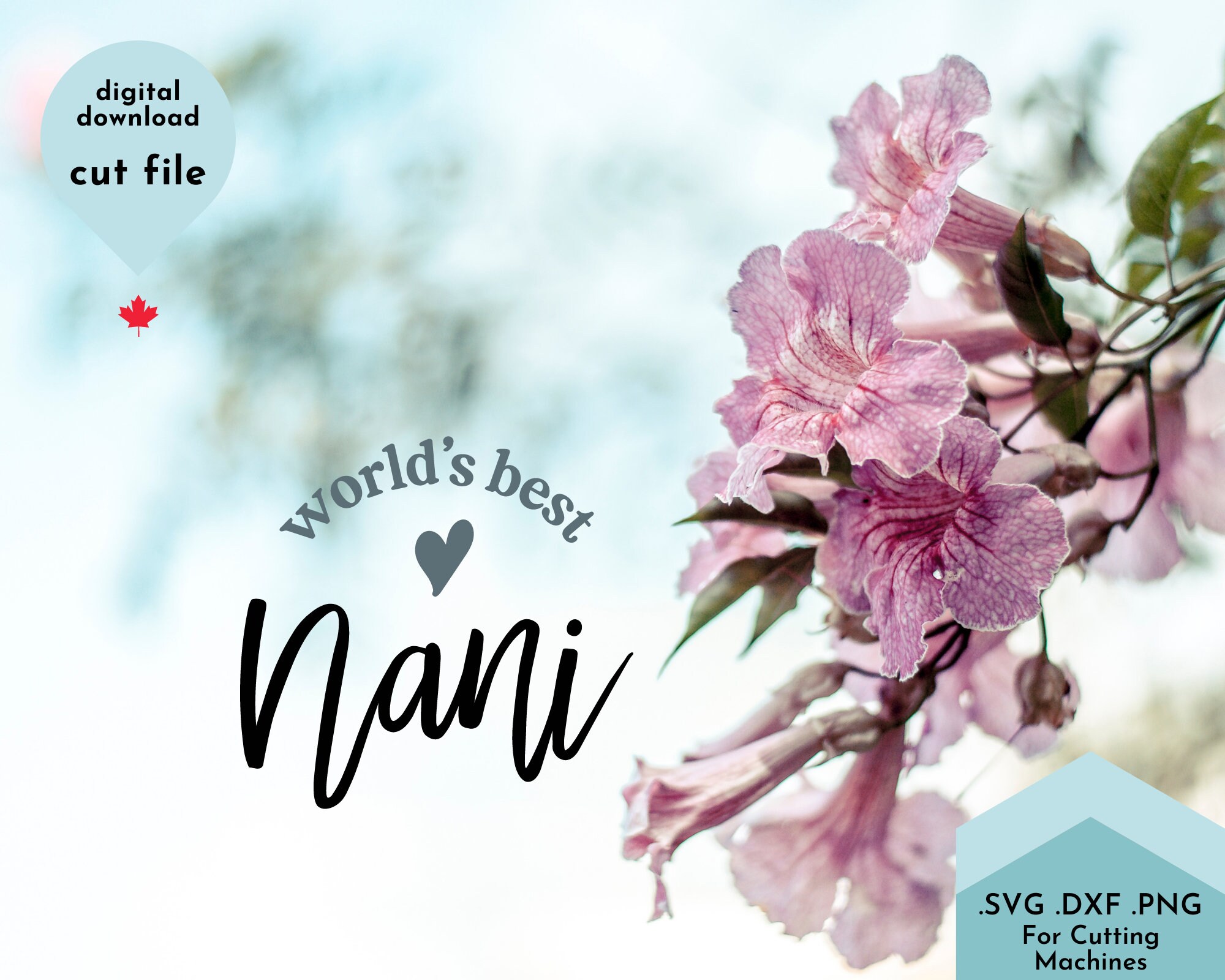 World's Best Nani SVG Cut File Grandma Coffee Mug svg | Etsy