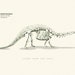 Brontosaurus Skeleton Poster, Dinosaur Poster, Educational Artwork - Etsy