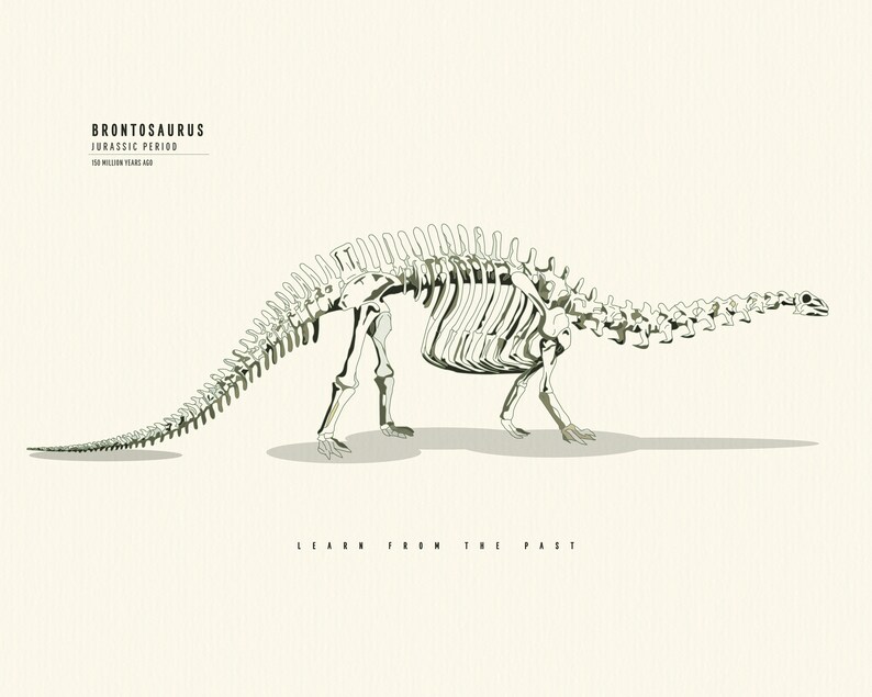 Brontosaurus Skeleton Poster, Dinosaur Poster, Educational Artwork - Etsy