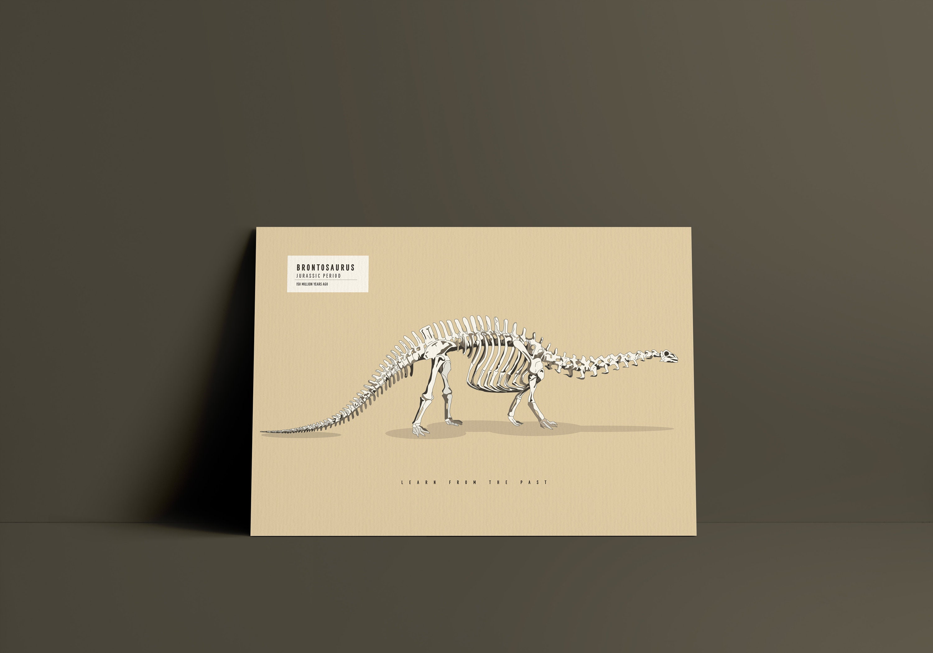 Brontosaurus Skeleton Poster, Dinosaur Poster, Educational Artwork - Etsy