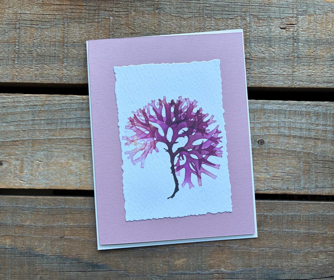 Seaweed Card | Seaweed Greeting Card | Seaweed Notecard | Irish Moss ...