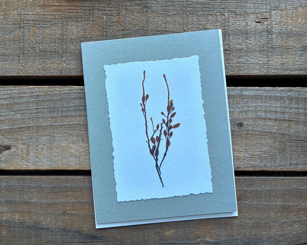 Seaweed Card | Seaweed Greeting Card | Seaweed Notecard | Rockweed ...