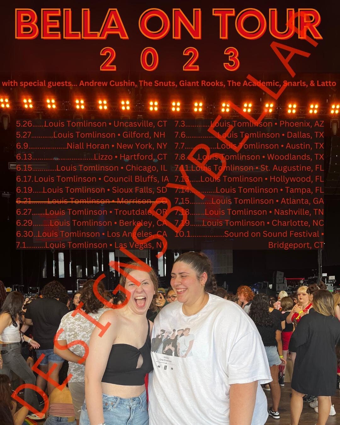 Personalized Concert Recap Tour Poster - Etsy
