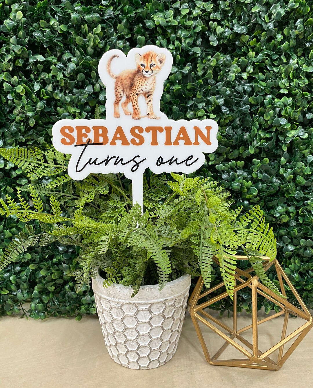 Safari Cake Topper Acrylic Cake Topper Personalized Cake Etsy