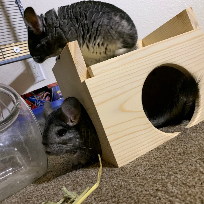 Chinchilla Toy - Etsy