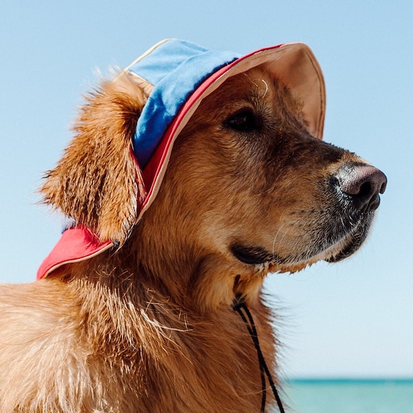 Hats for Dogs - Etsy