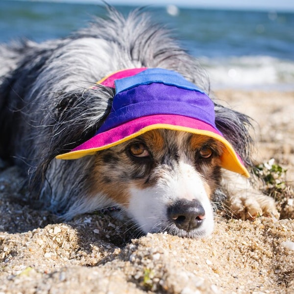 Hats for Dogs - Etsy
