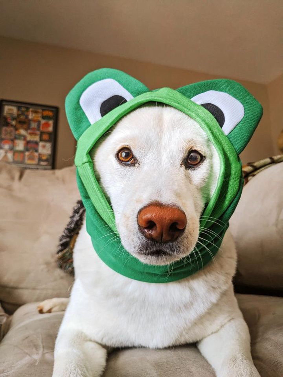 Pet Halloween Costume | Frog Snoodie | Dog Frog Ears | Dog Frog Costume ...