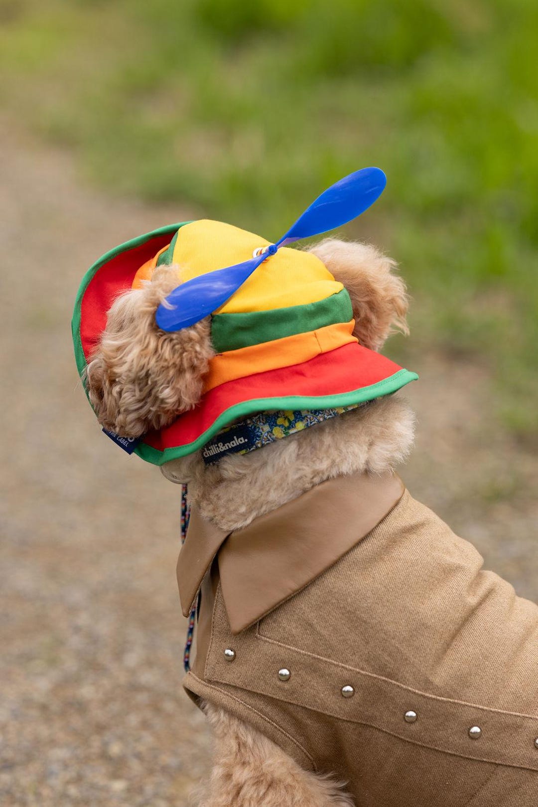 Retro Colorblock Spinning Propeller Dog Hat: Cotton Bucket Hat for Dogs ...