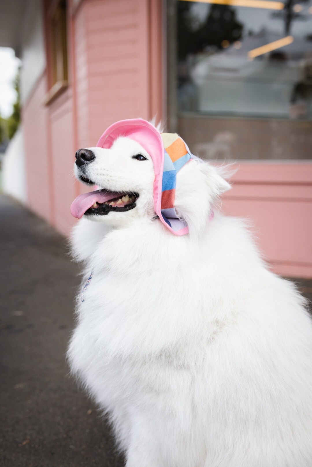 Stripe Dog Bucket Hat Hats for Dogs Pink Large Dog Hats Reversible ...