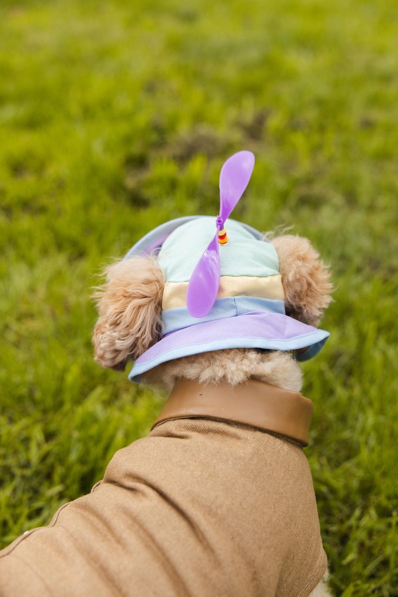 Pastel Colorblock Spinning Propeller Dog Hat: Cotton Bucket Hat for ...