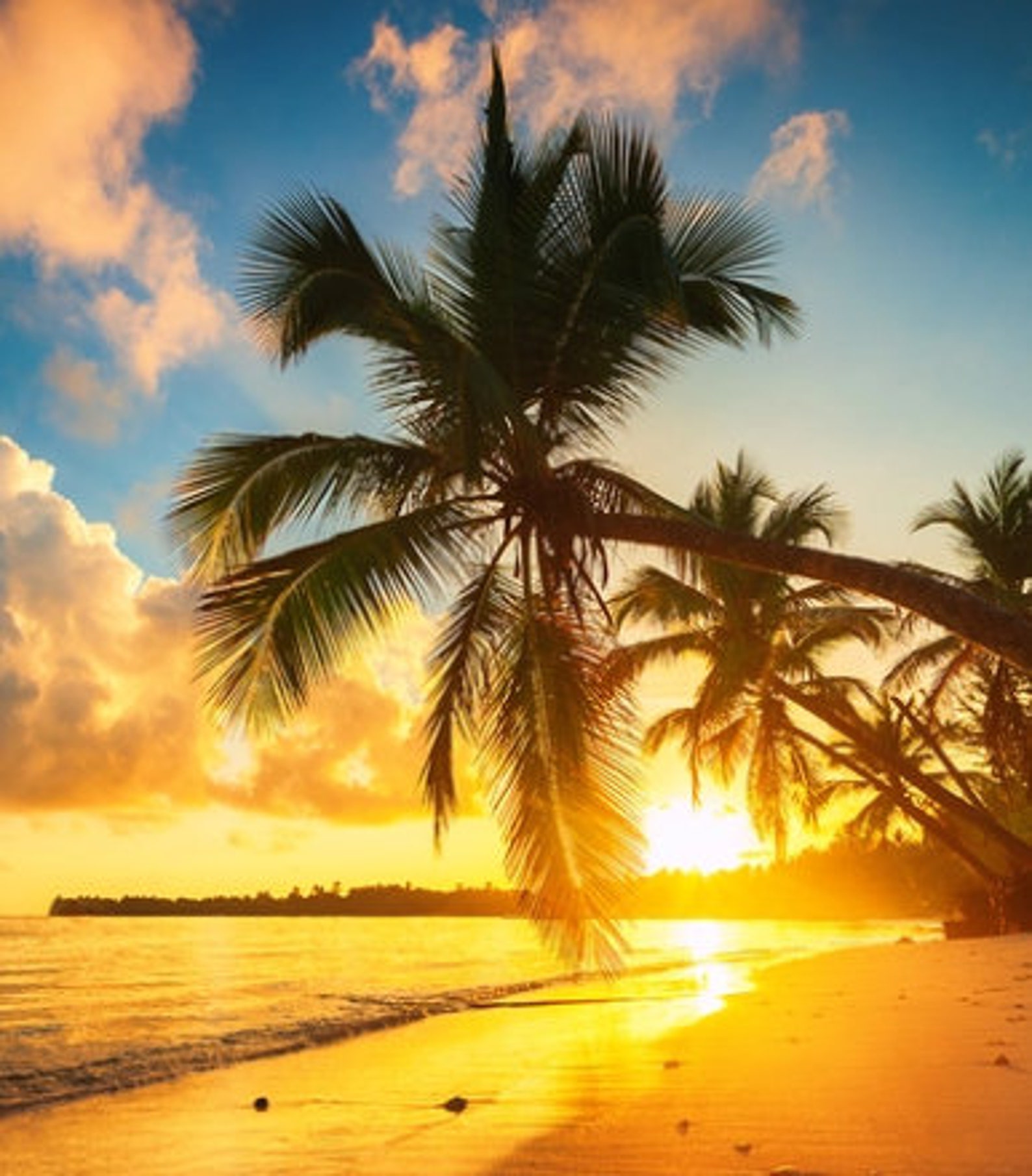 Solar Bay 11 Incense Sticks and 2 Inch Backflow Cones - Etsy