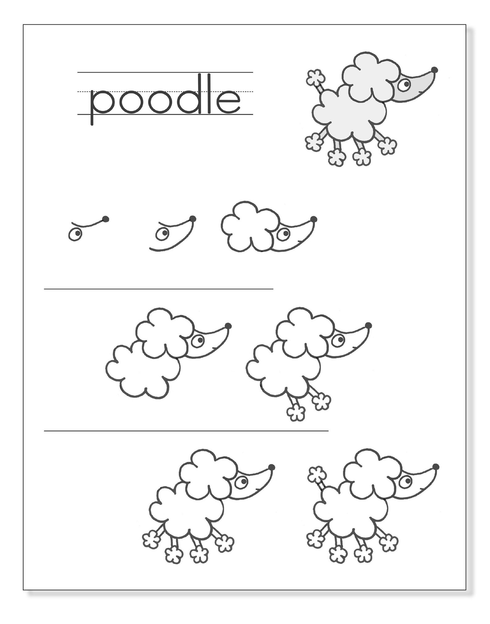 Directed Drawing - 80 Animals - Etsy