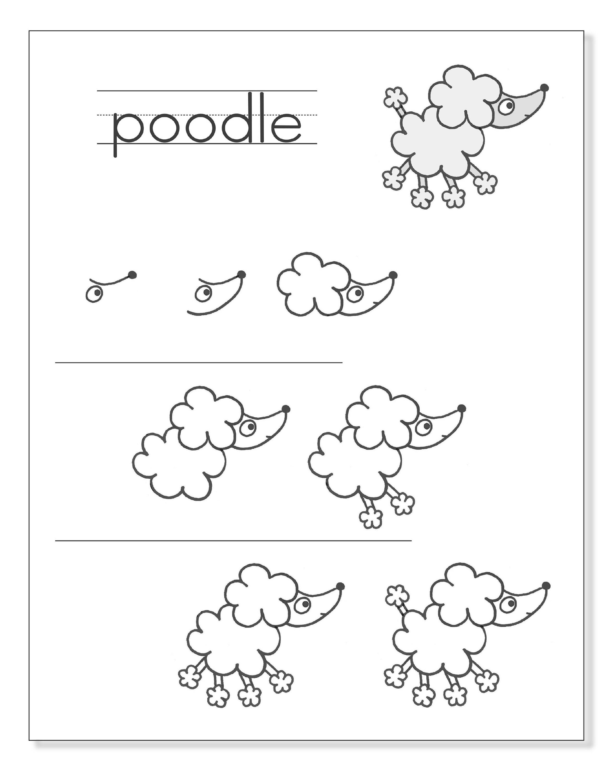 Directed Drawing - 80 Animals - Etsy