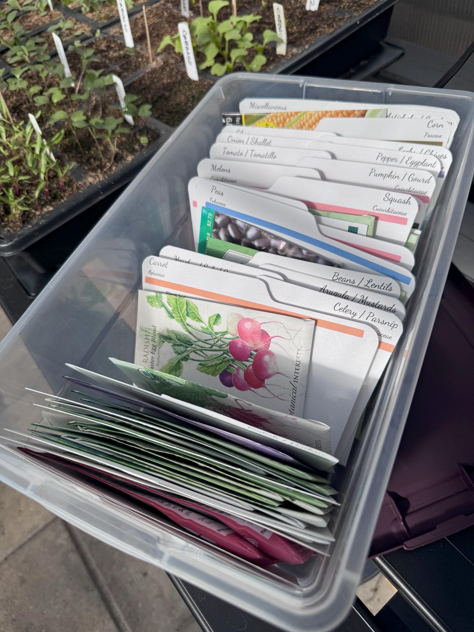 Seed Packet Dividers – DIY Organizer Inserts |vegetable Garden Set ...