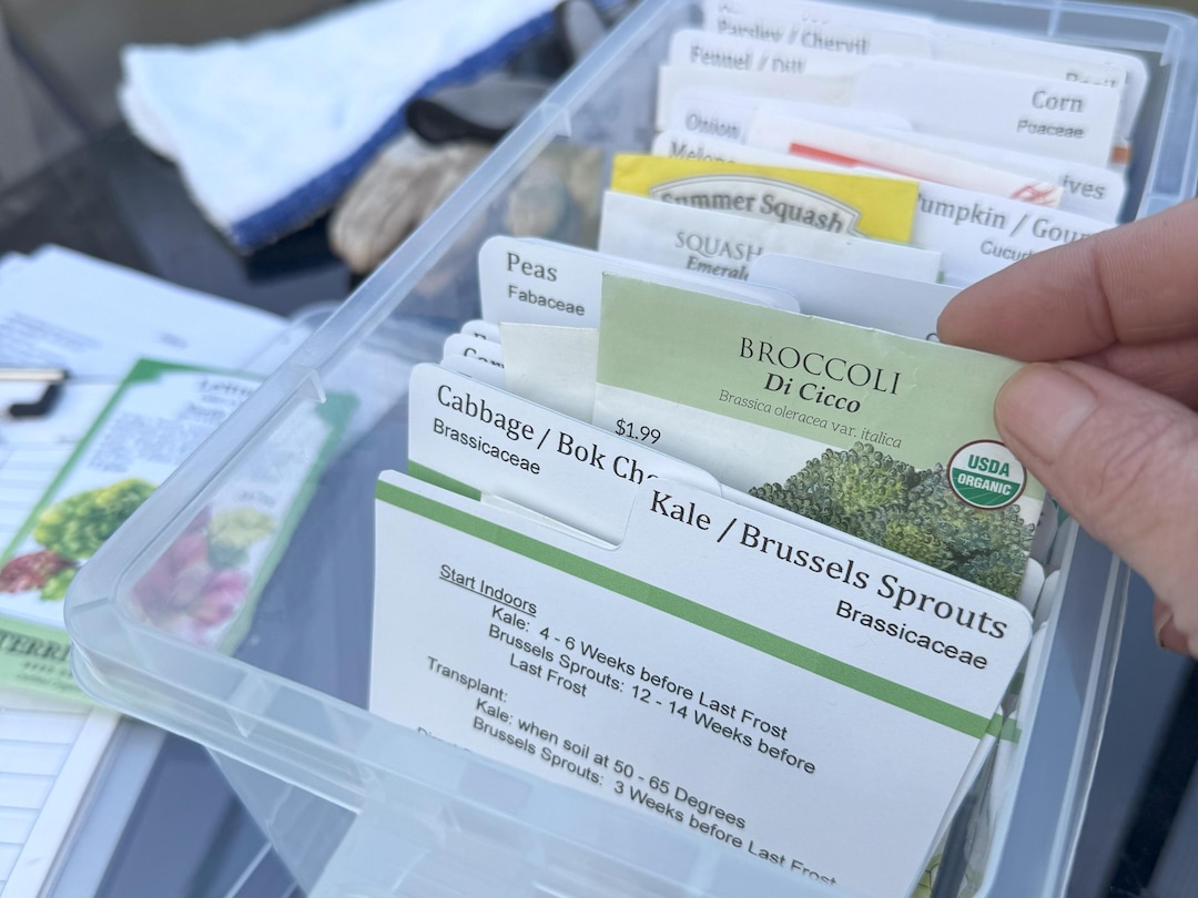 Vegetable Seed Packet Dividers – Printable Cards W/tabs | DIY Organizer ...