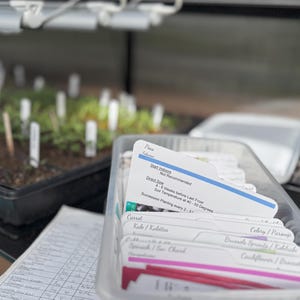 Vegetable Seed Packet Dividers – Printable Cards W/tabs | DIY Organizer ...