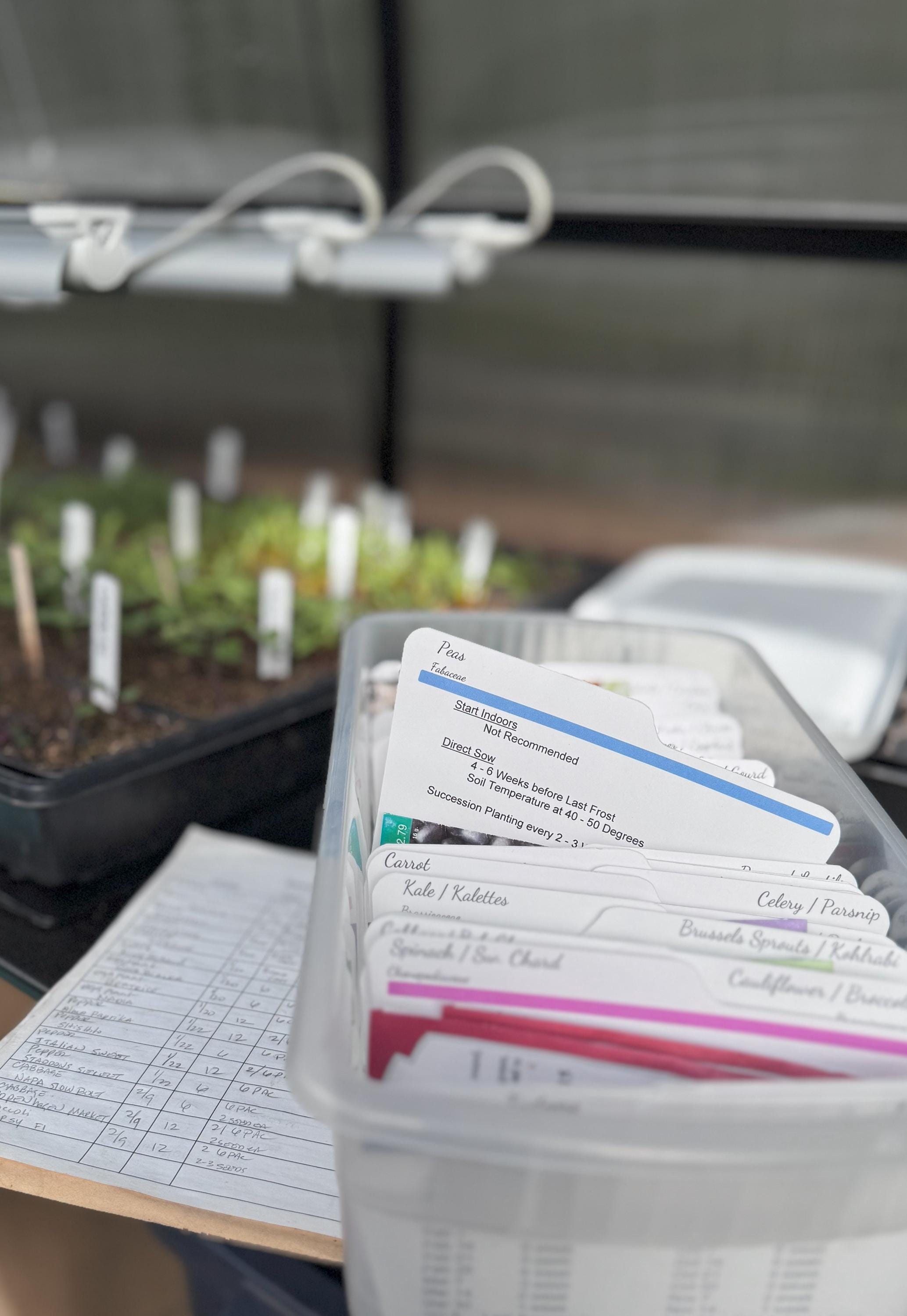 Seed Packet Dividers – DIY Organizer Inserts |vegetable Garden Set ...
