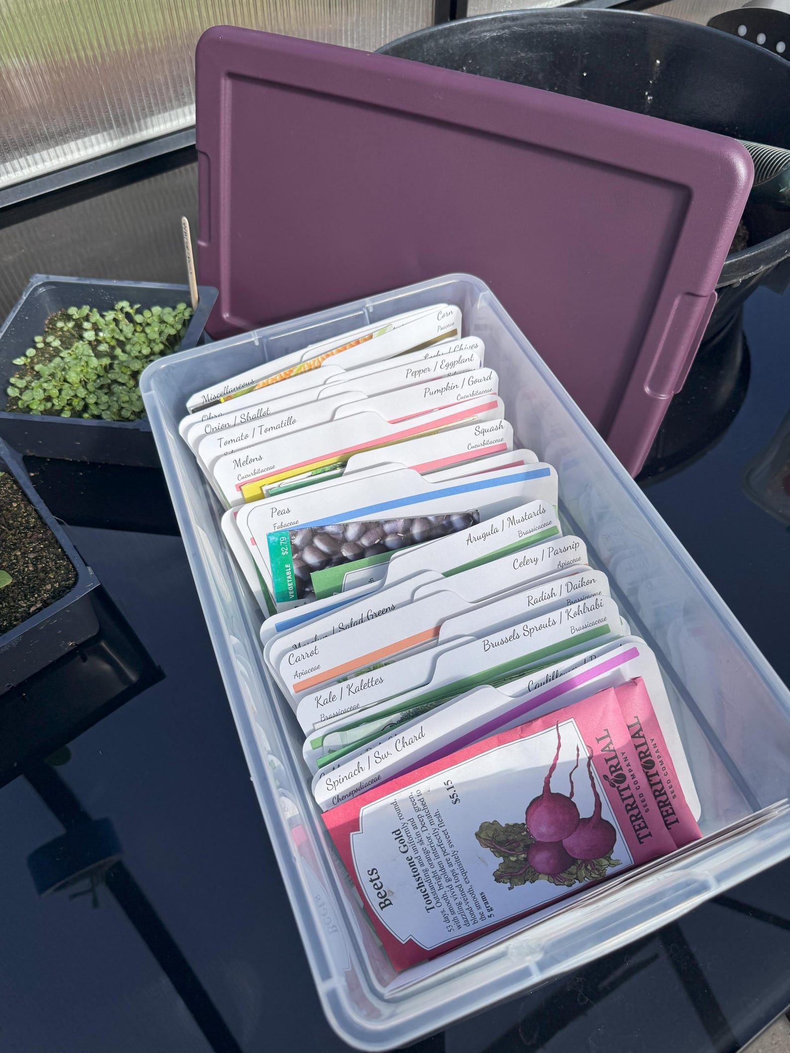 Vegetable Seed Packet Dividers – Printable Cards W/tabs | DIY Organizer ...