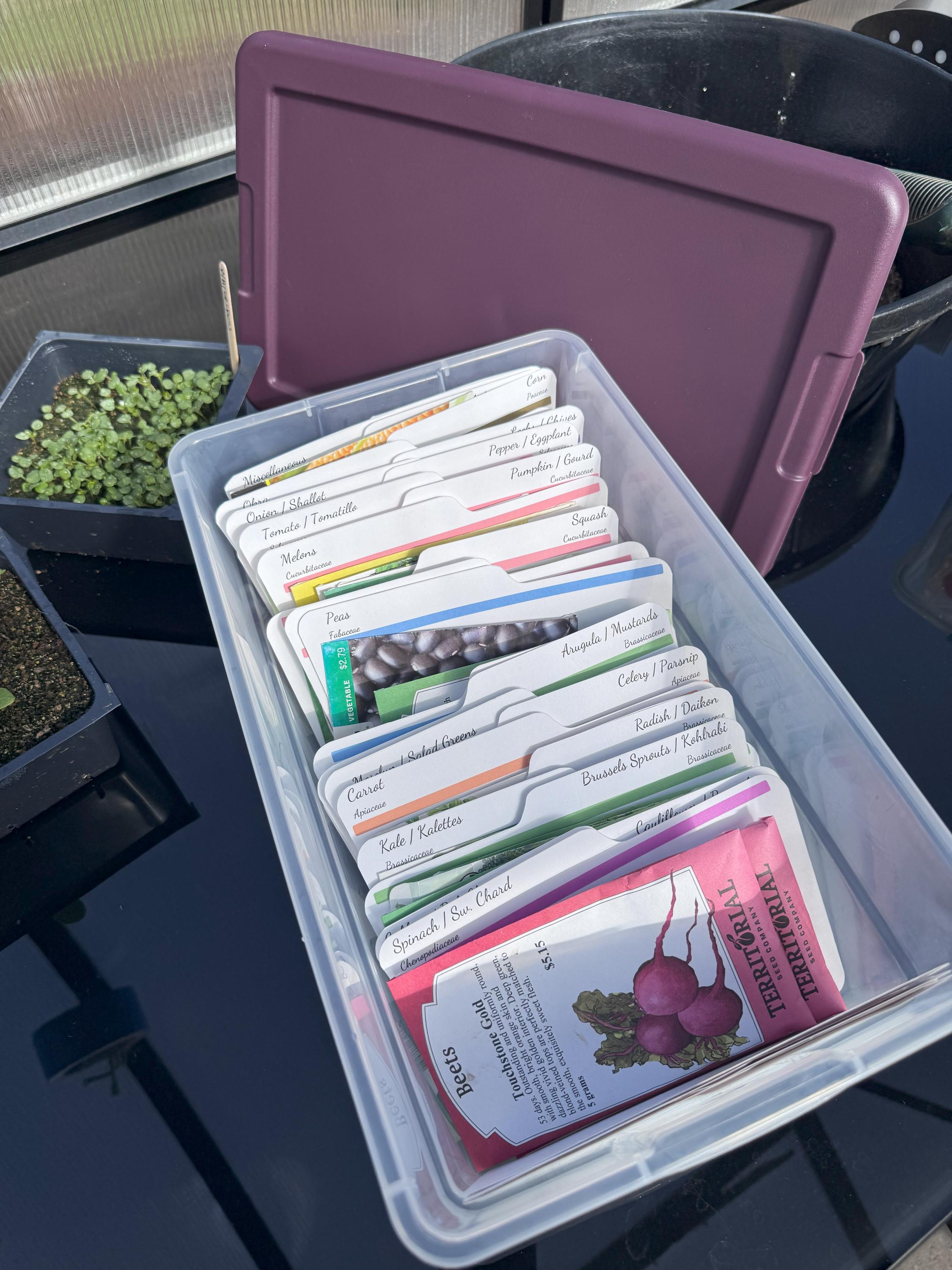 Seed Packet Dividers – DIY Organizer Inserts |vegetable Garden Set ...