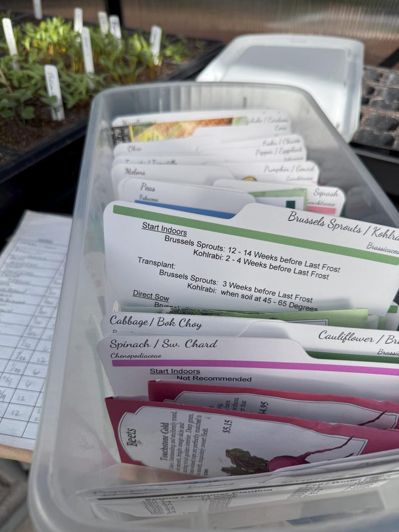 Vegetable Seed Packet Dividers – Printable Cards W/tabs | DIY Organizer ...