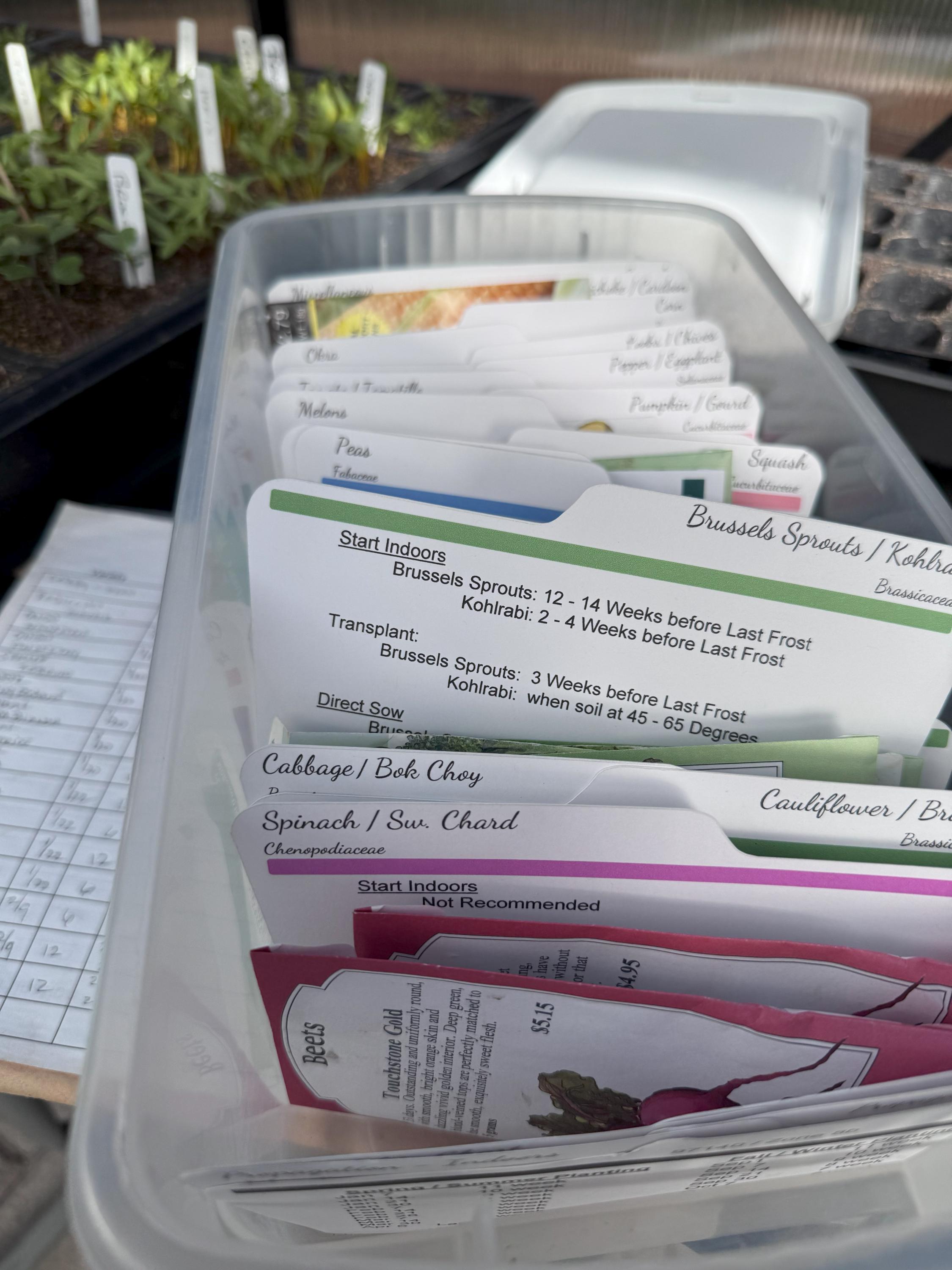 Seed Packet Dividers – DIY Organizer Inserts |vegetable Garden Set ...