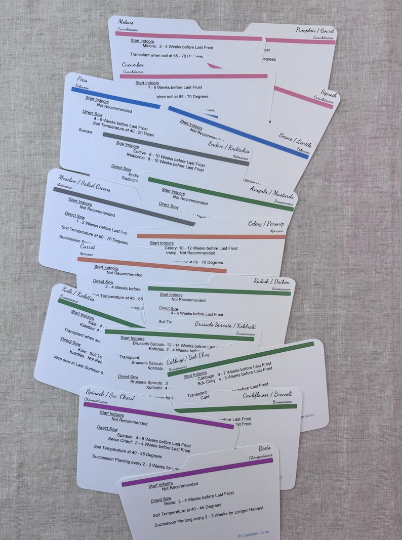 Vegetable Seed Packet Dividers – Printable Cards W/tabs | DIY Organizer ...