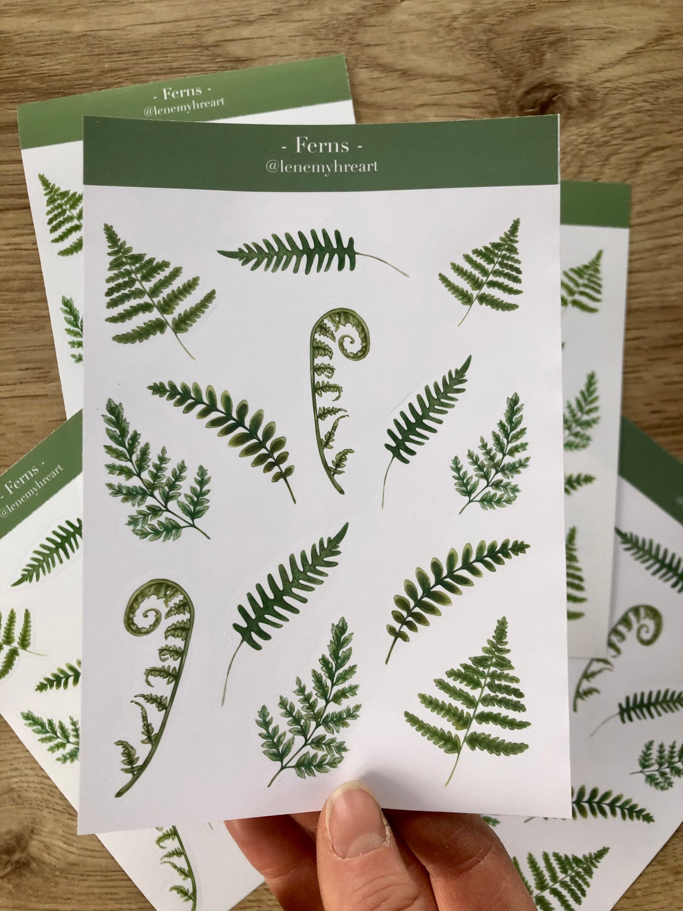 Ferns Sticker Sheet Fauna Stickers Bullet Journal Stickers - Etsy Singapore