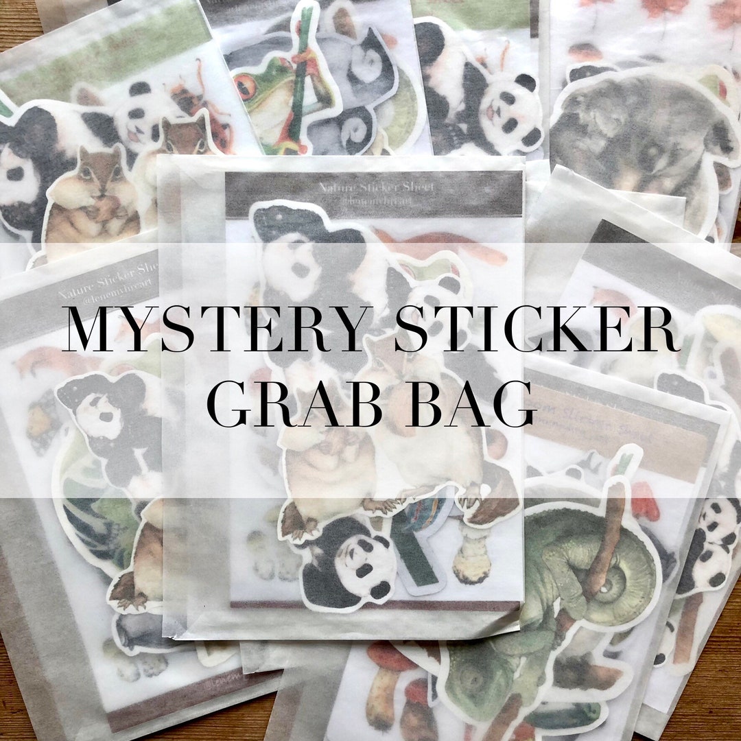 STICKER GRAB BAG, Sticker Mystery Pack, Sticker Sets - Etsy