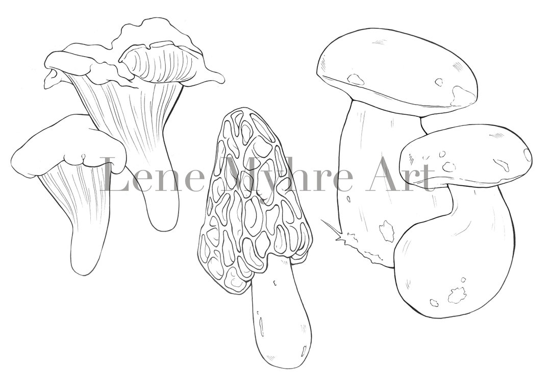 Mushroom Coloring Page, Digital Download, Fungi Coloring Page, Coloring ...