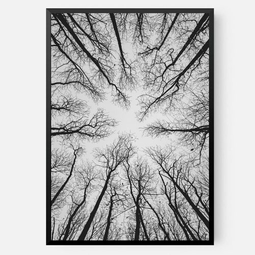 Tree Print Black and White Prints Wall Art Print Tree - Etsy UK