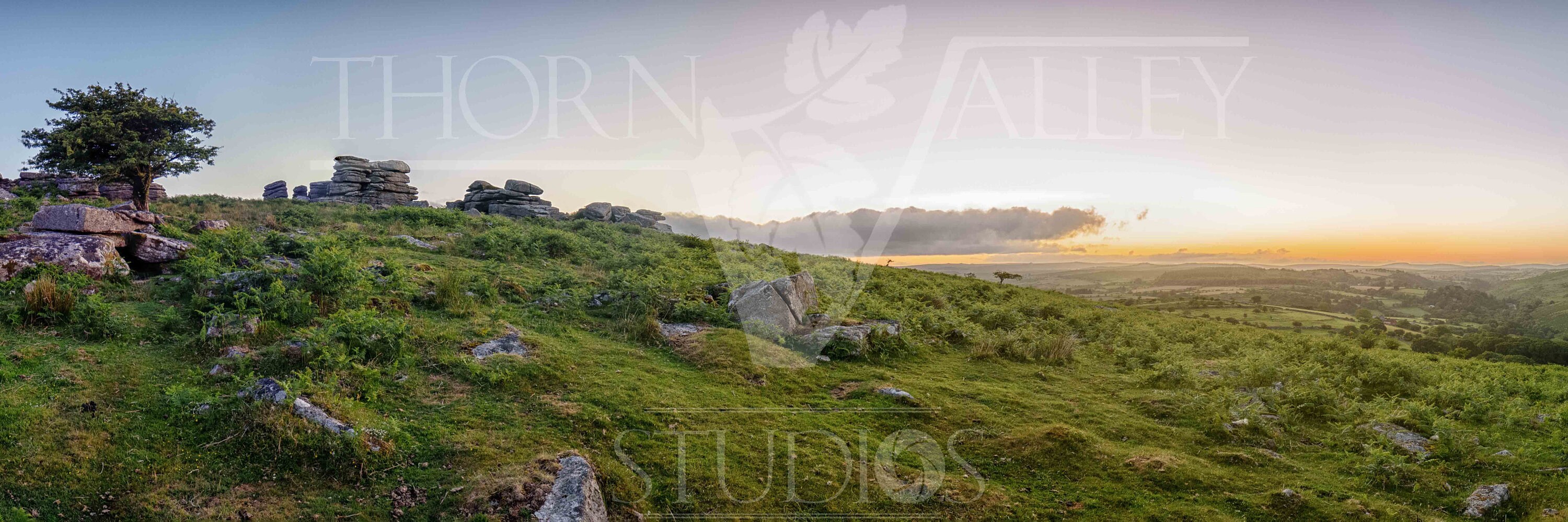 COMBESTONE TOR PANORAMIC 36x12 Inches Photographic Lustre - Etsy UK