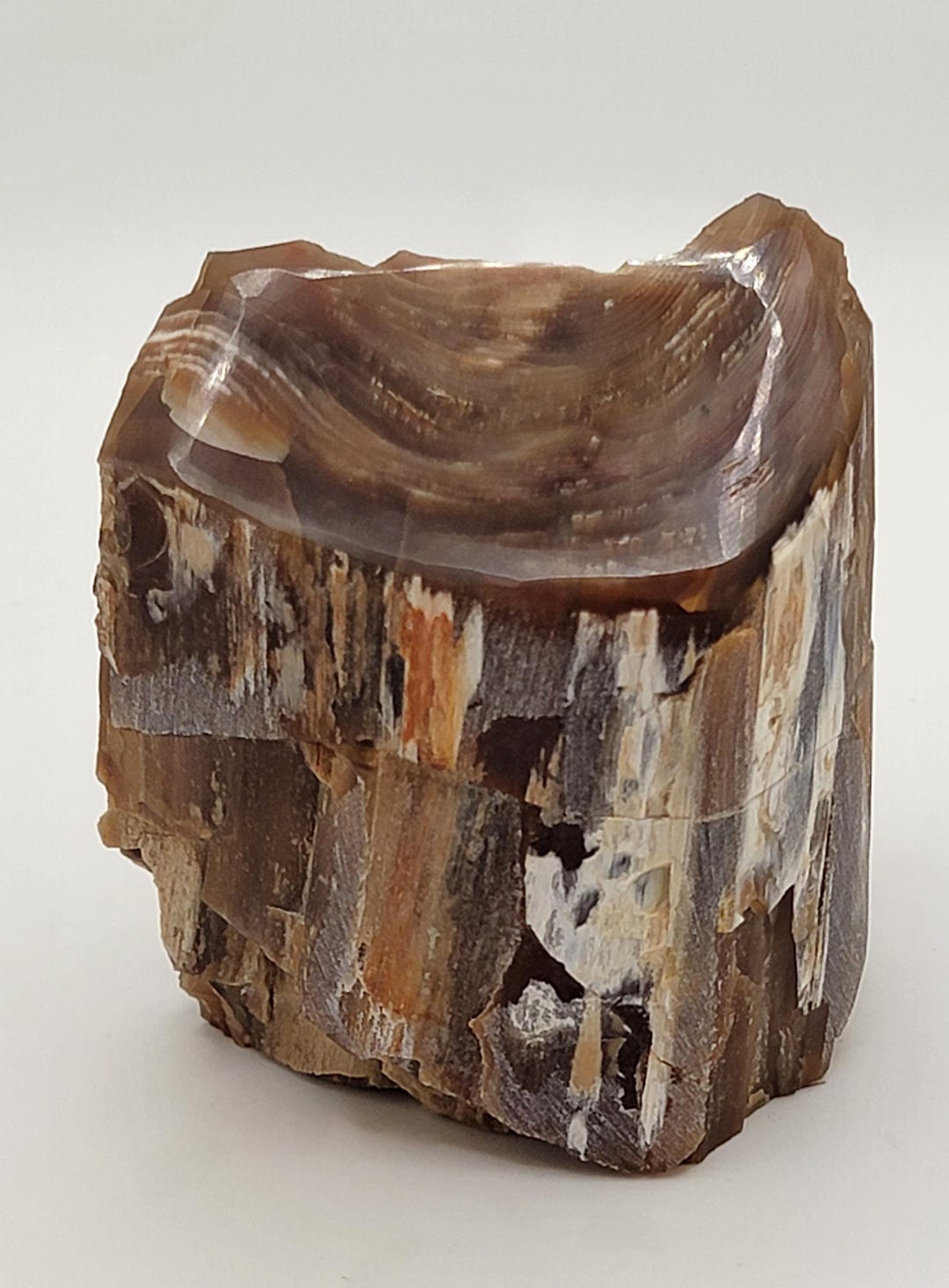 Limb Cast - Agatized Petrified Wood - 3inx2.7in - Strong UV Reaction - Etsy