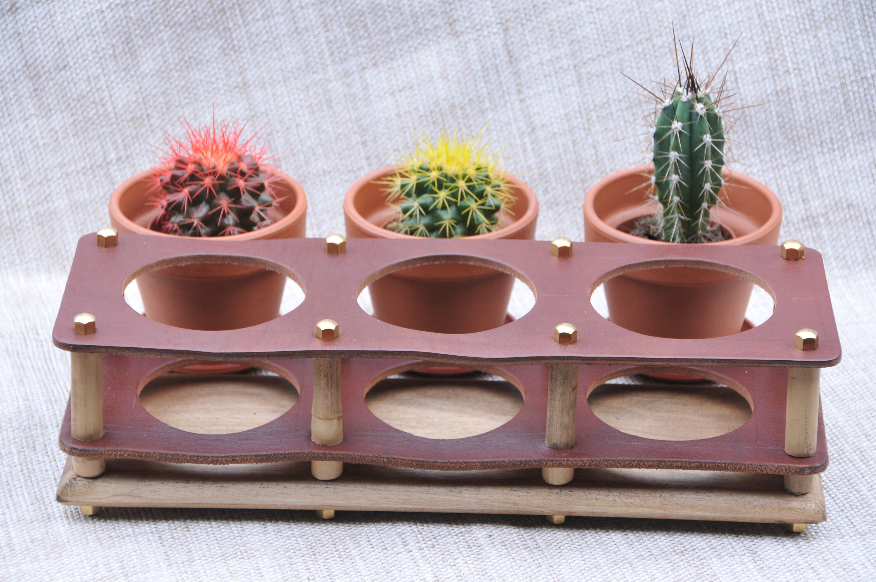 Modern Leather Cactus Stand Ceramic Pots on Wooden Stand | Etsy