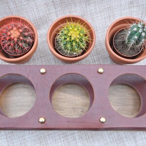 Modern Leather Cactus Stand, Ceramic Pots on Wooden Stand, High Quality ...