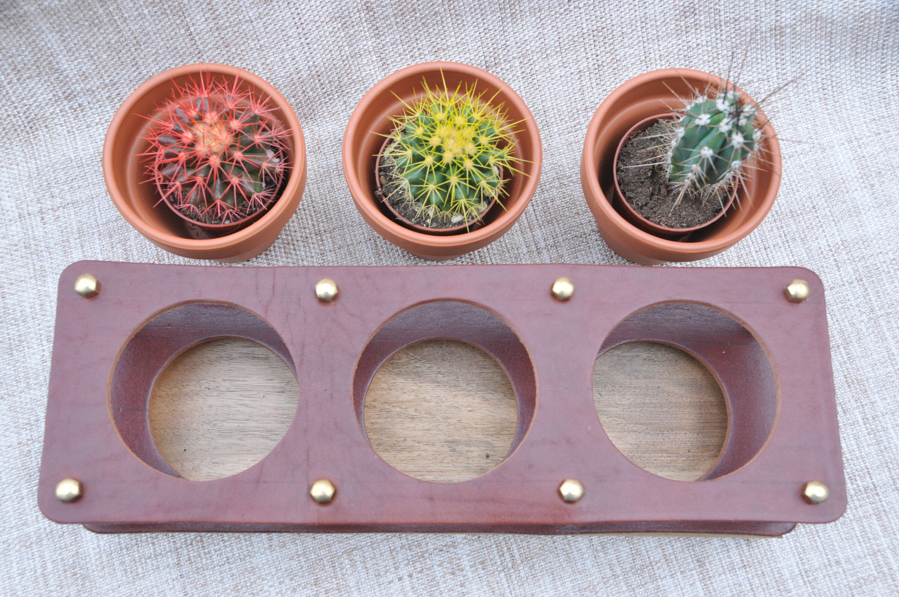 Modern Leather Cactus Stand Ceramic Pots on Wooden Stand | Etsy