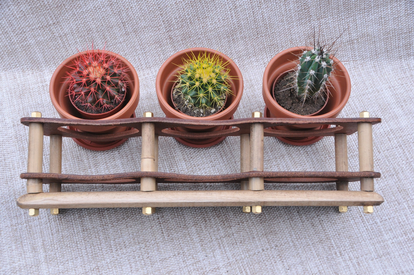 Modern Leather Cactus Stand Ceramic Pots on Wooden Stand | Etsy