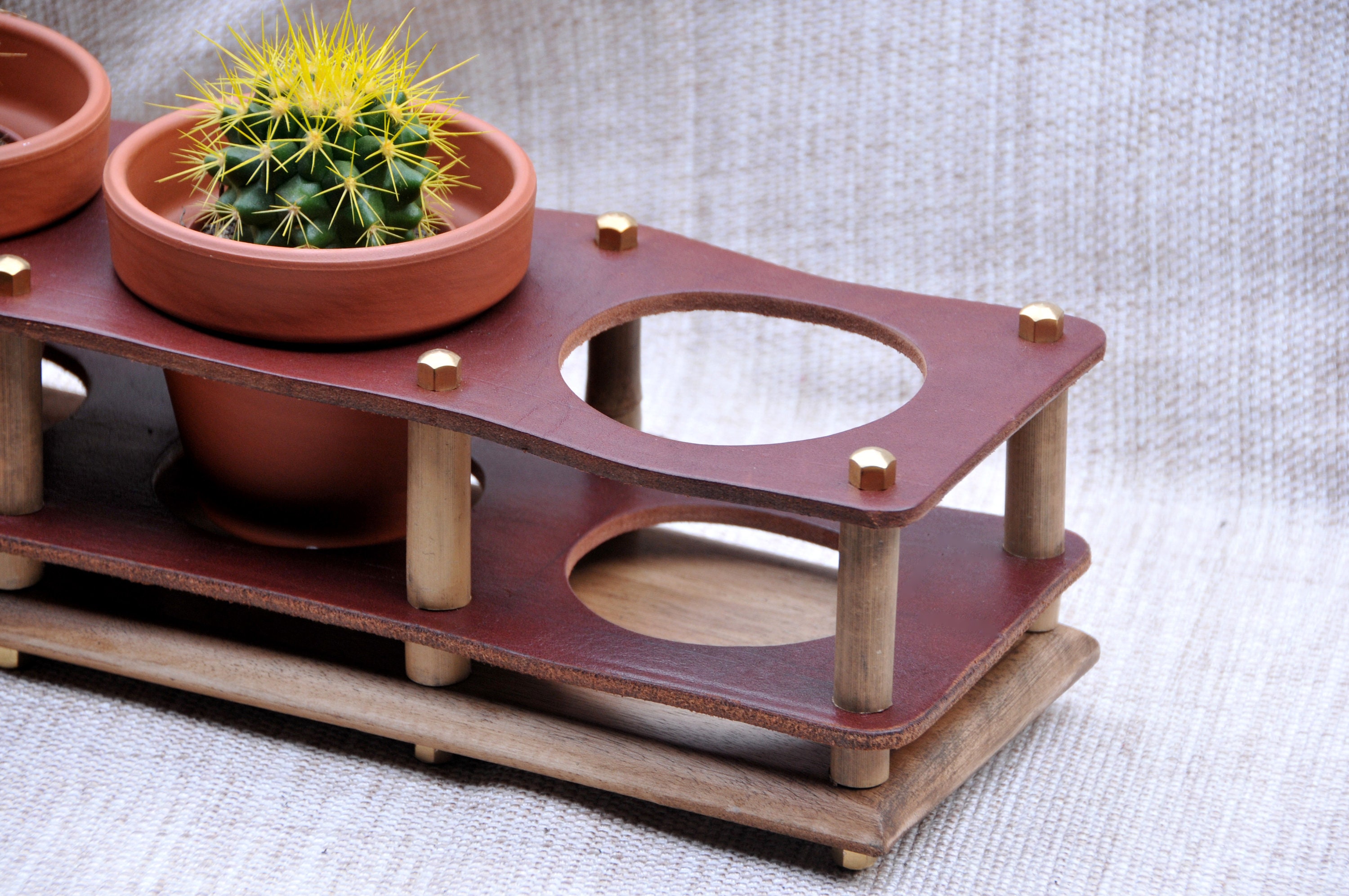 Modern Leather Cactus Stand Ceramic Pots on Wooden Stand - Etsy