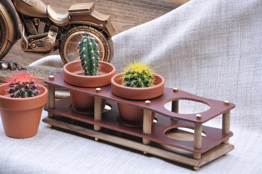Modern Leather Cactus Stand, Ceramic Pots on Wooden Stand, High Quality ...