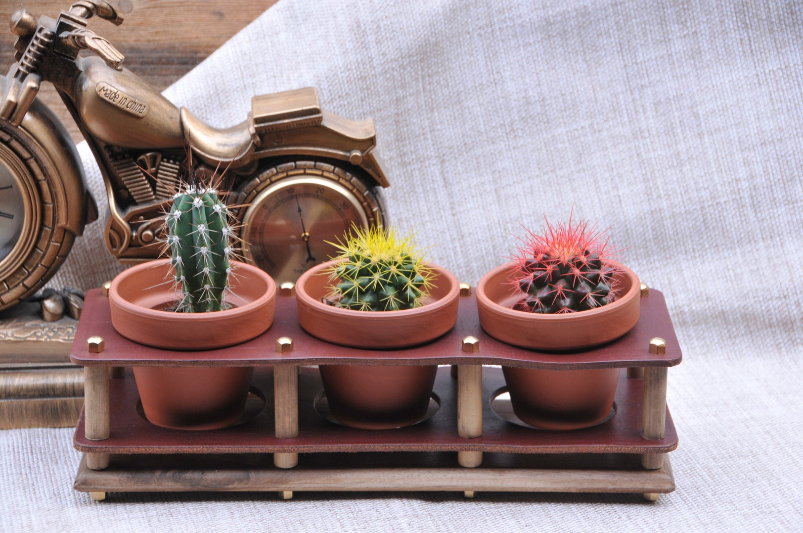 Modern Leather Cactus Stand Ceramic Pots on Wooden Stand | Etsy